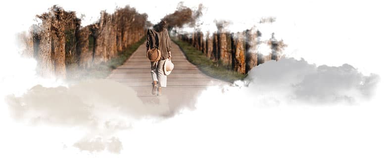 Into The Wild - art photos of nature and animals on posters and ...